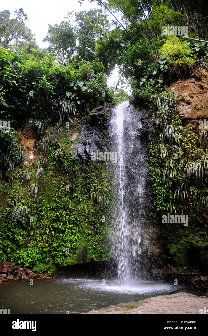 THE TORAILLE WATERFALL NEAR SOUFRIERE ST LUCIA Stock Photo - Alamy
