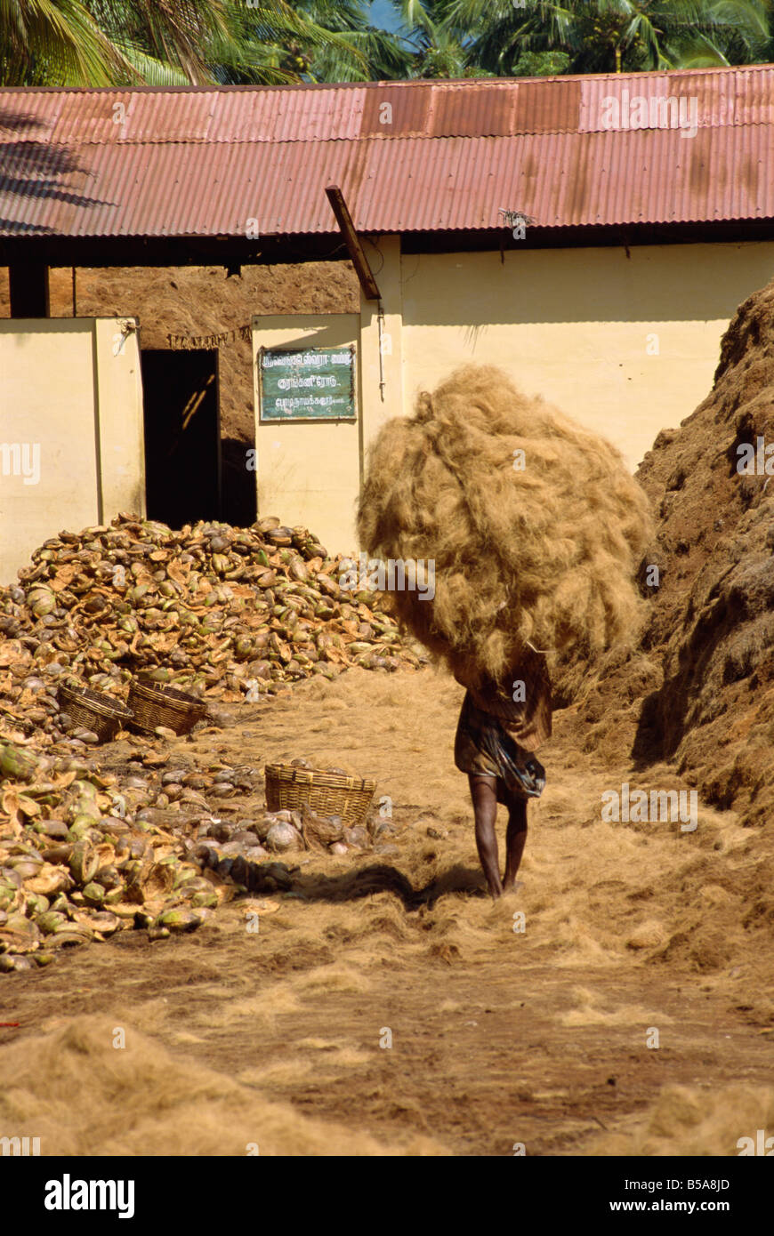 Man carrying dried copra obtained from coconut husks, Tamil Nadu state ...