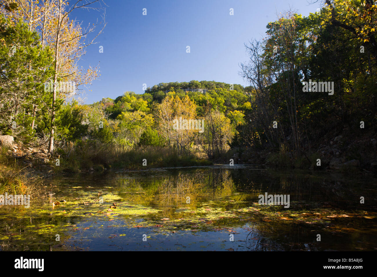 Pond landscape, autumn, Texas Hill Country Stock Photo - Alamy