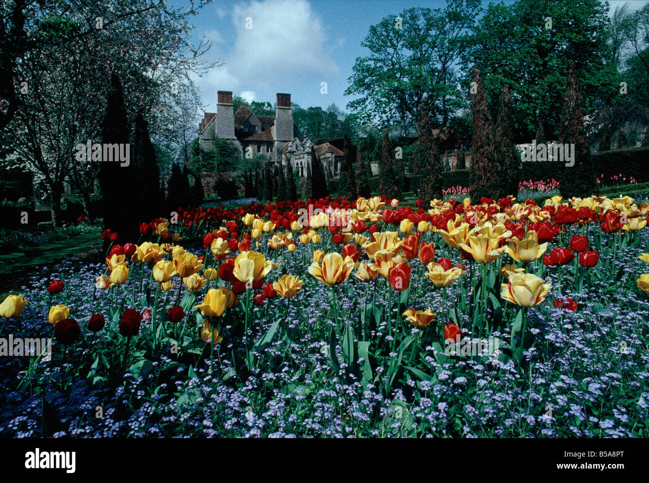 Garsington Manor Stately home opera venue Gardens Tulips flowering ...