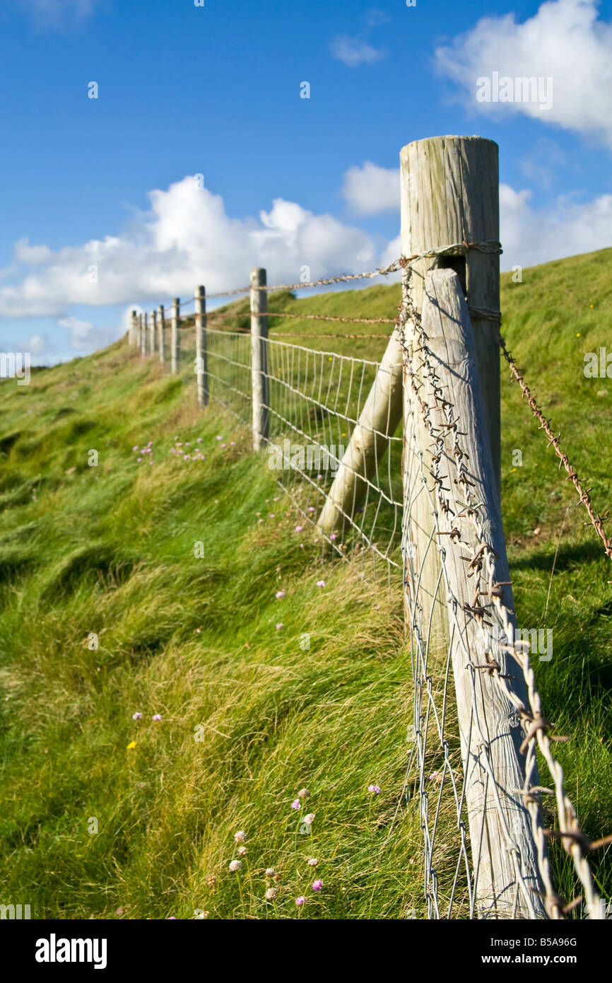 A line of fencing Stock Photo - Alamy