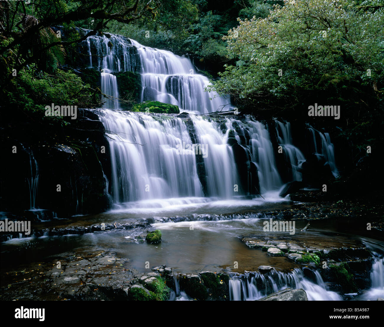 Otago Dunedin Waterfalls Cascades Thick forest PURAKAUNUI FALLS SOUTH ...