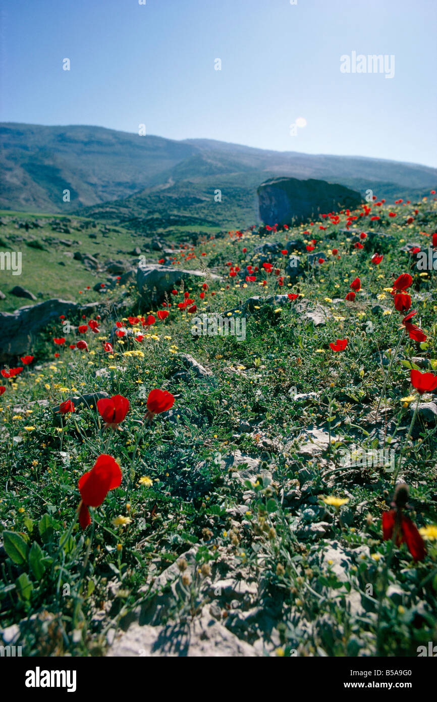 Natural landscapes of iran hi-res stock photography and images - Alamy
