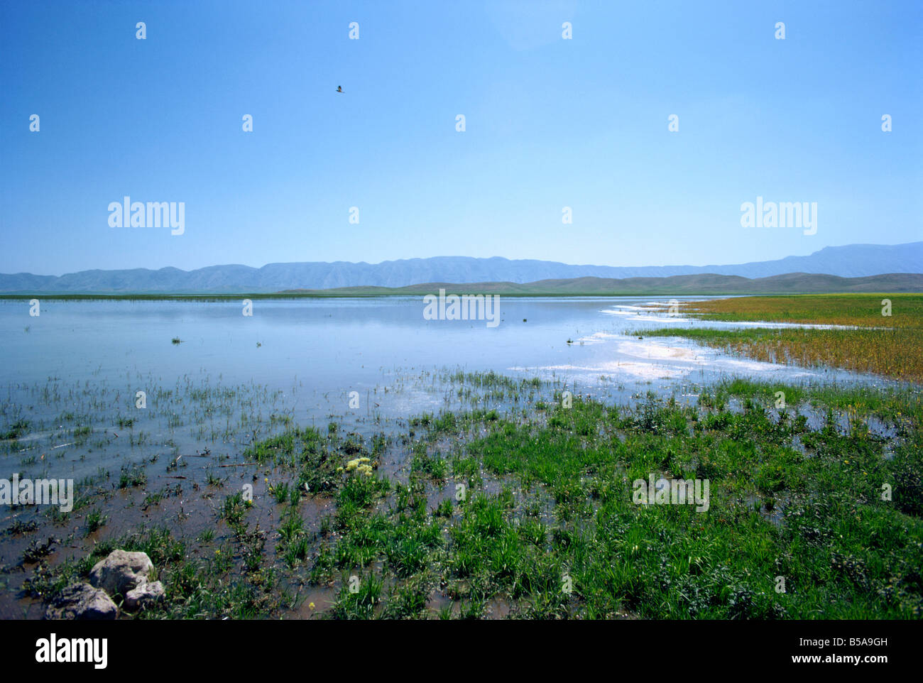 Iran lakes hi-res stock photography and images - Alamy
