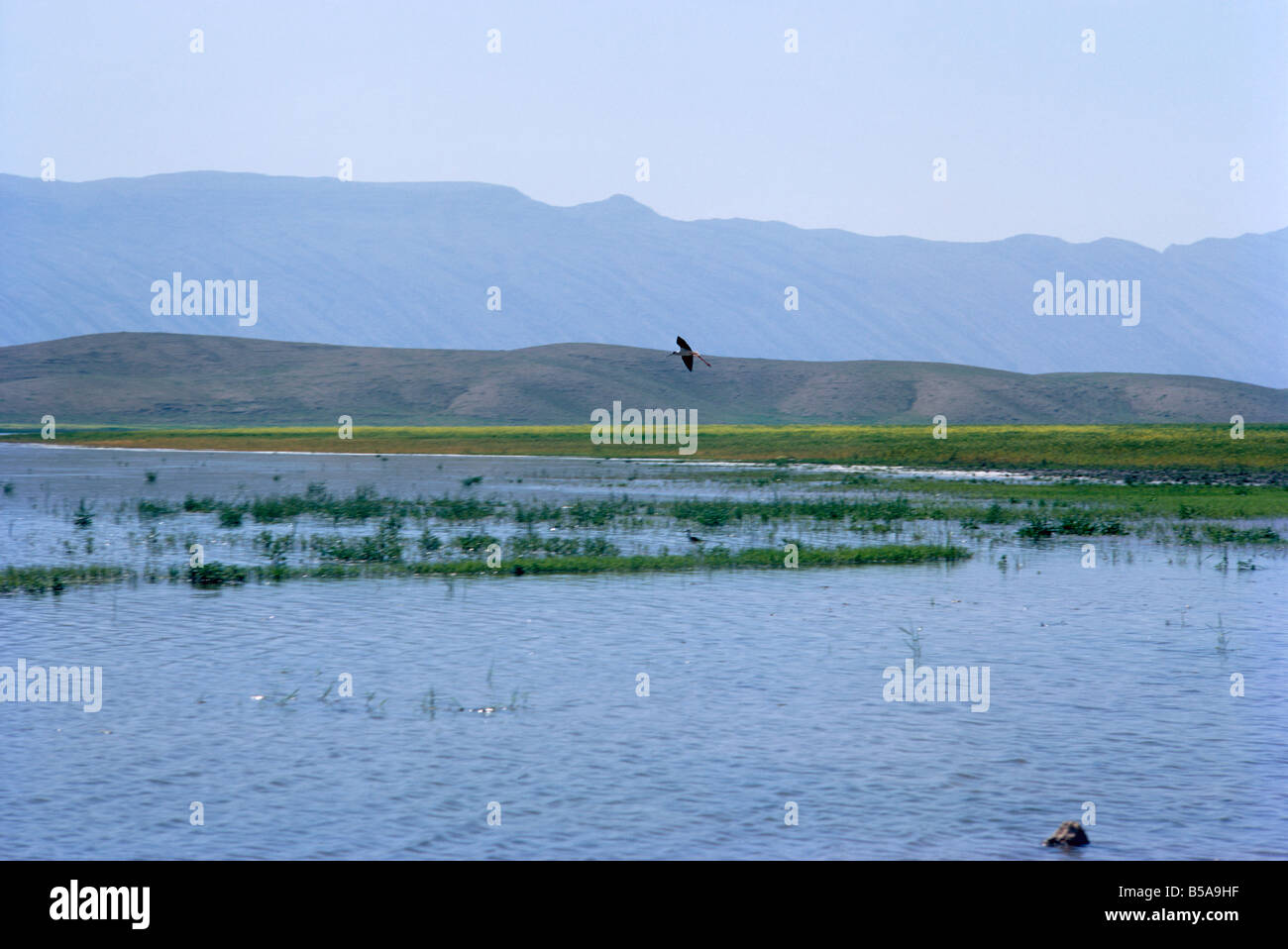 Iran lakes hi-res stock photography and images - Alamy