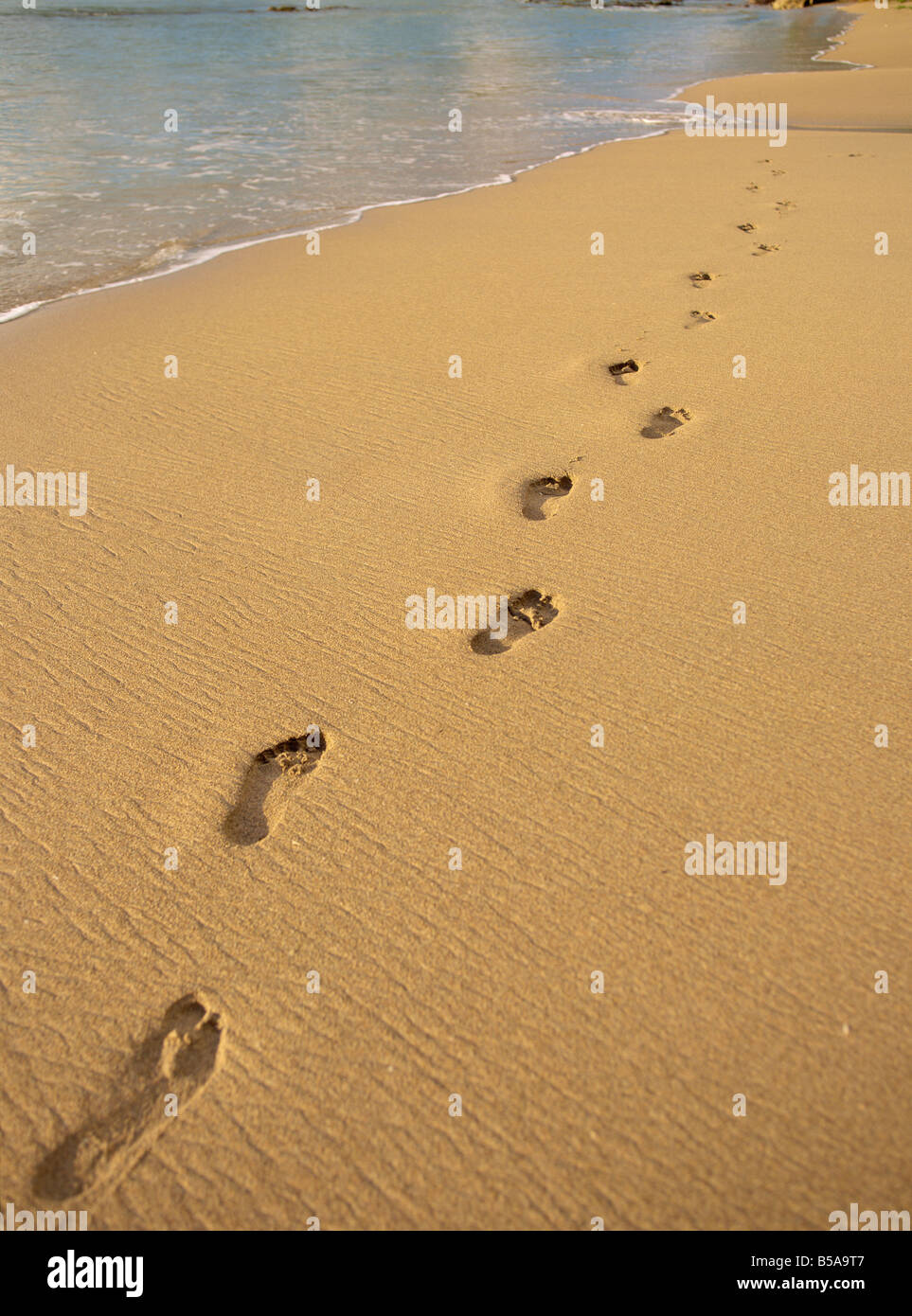 Footprints in the sand on a beach J Miller Stock Photo - Alamy