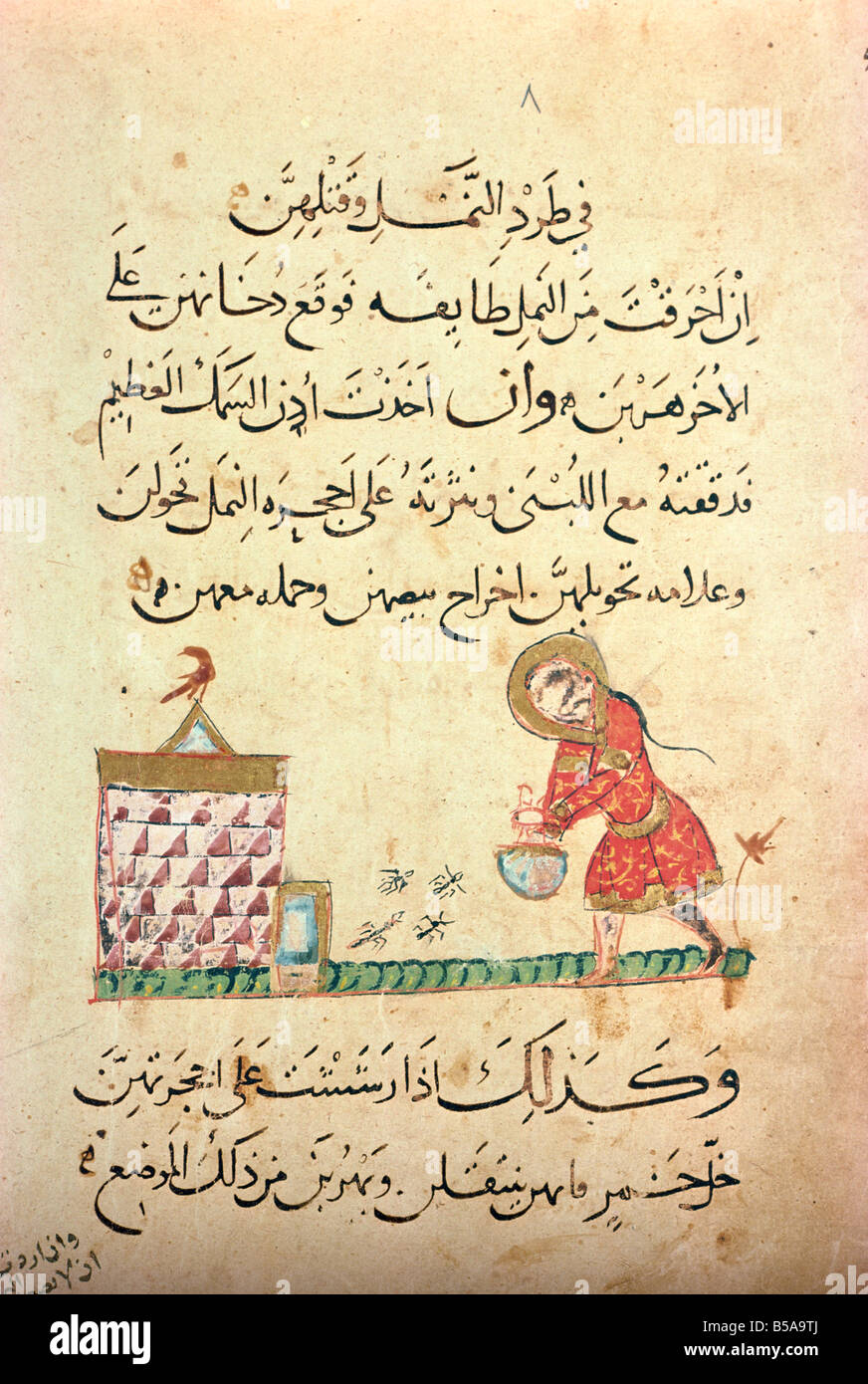 Islamic manuscript 12th century hi-res stock photography and images - Alamy