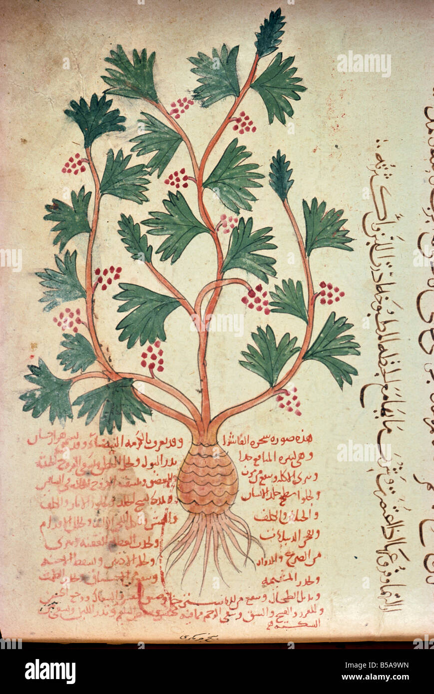 Islamic manuscript Iran Middle East Stock Photo - Alamy