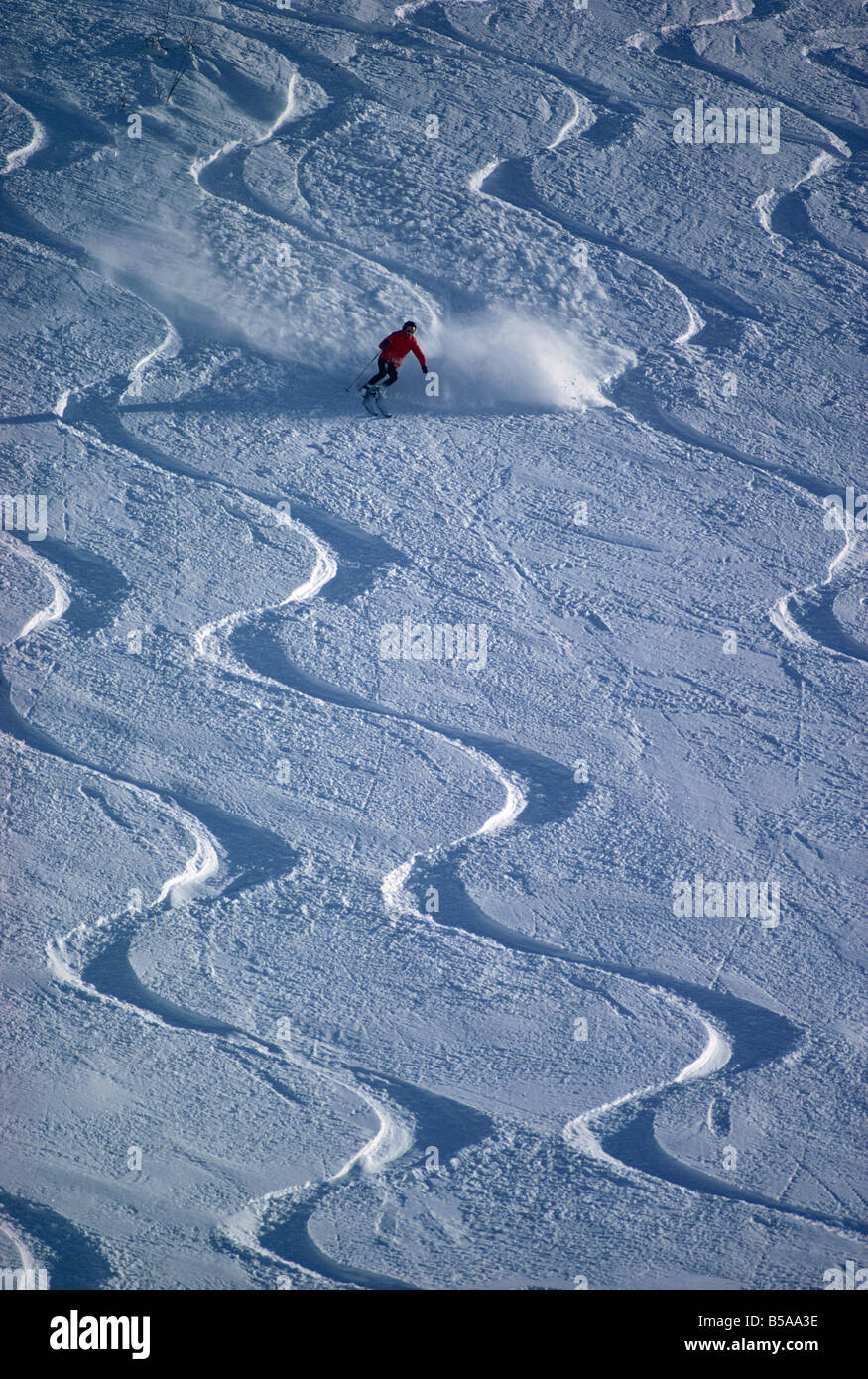 Skiers in powder snow Stock Photo - Alamy