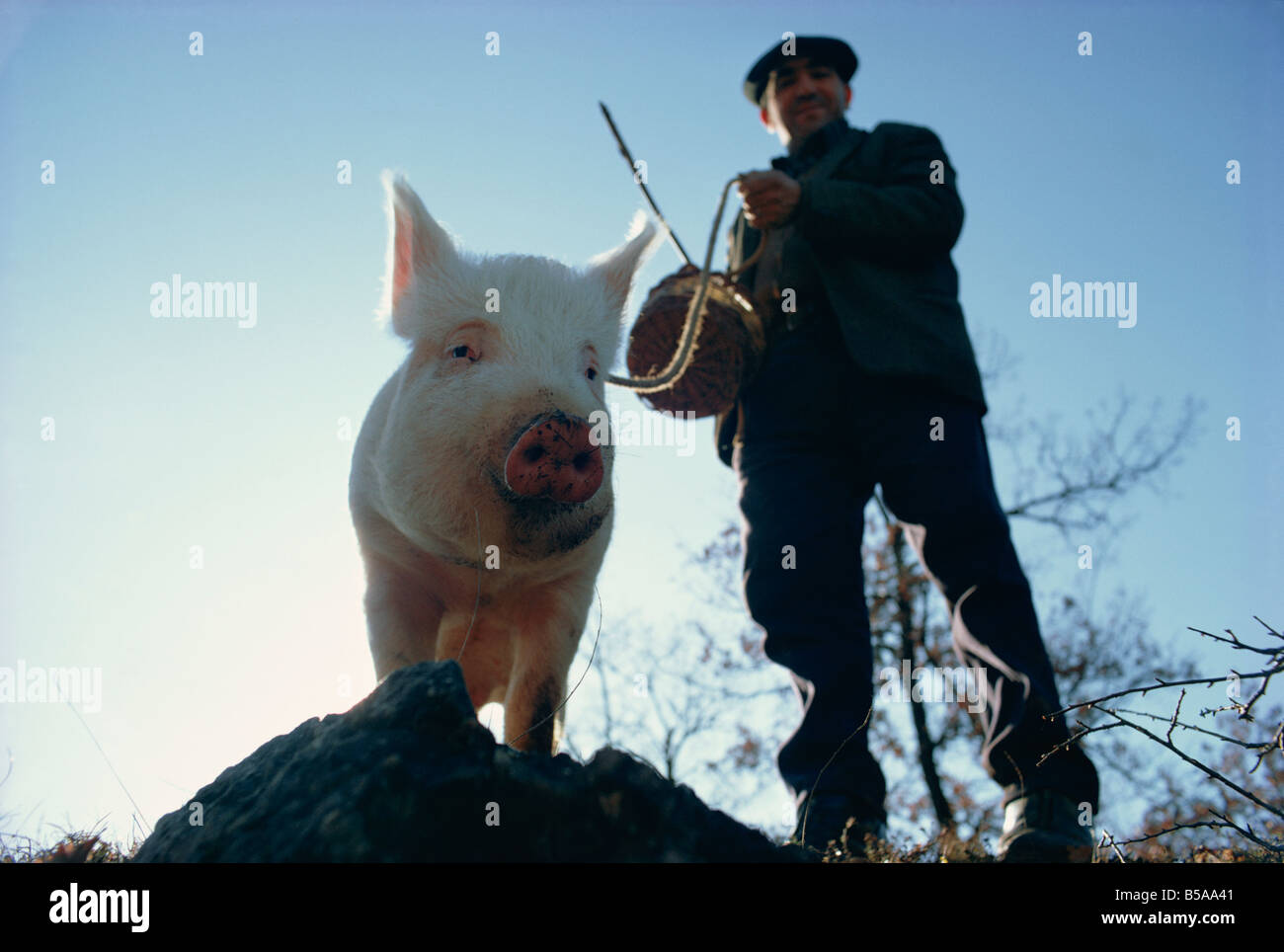 With truffles hi-res stock photography and images - Alamy