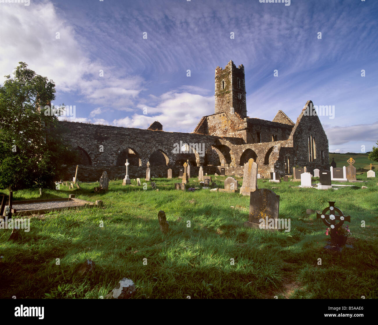 Timoleague Abbey, Franciscan abbey tower, Timoleague, County Cork ...