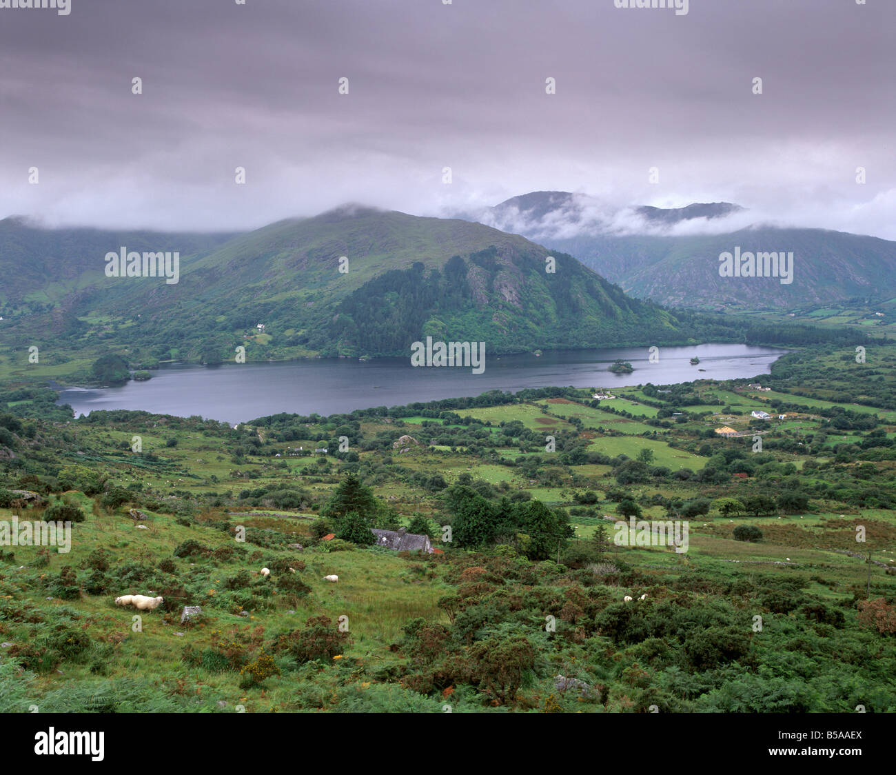 Glanmore Lake from Healy Pass, Beara Peninsula, County Kerry, Munster ...