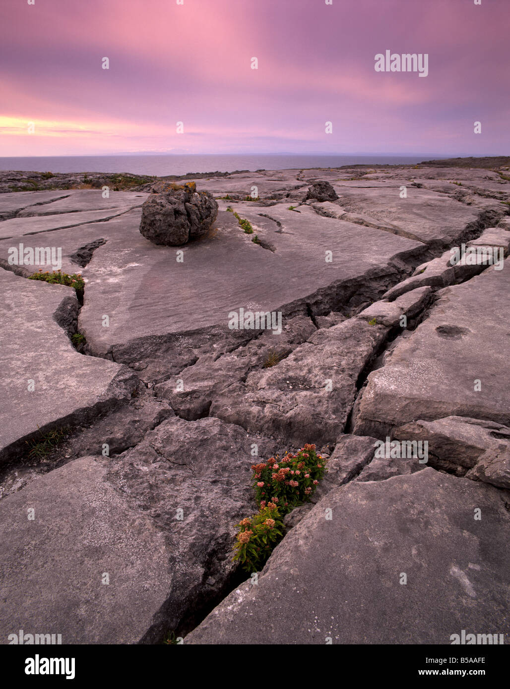 Limestone plateau at sunset, karstic landscape, Burren region, County ...