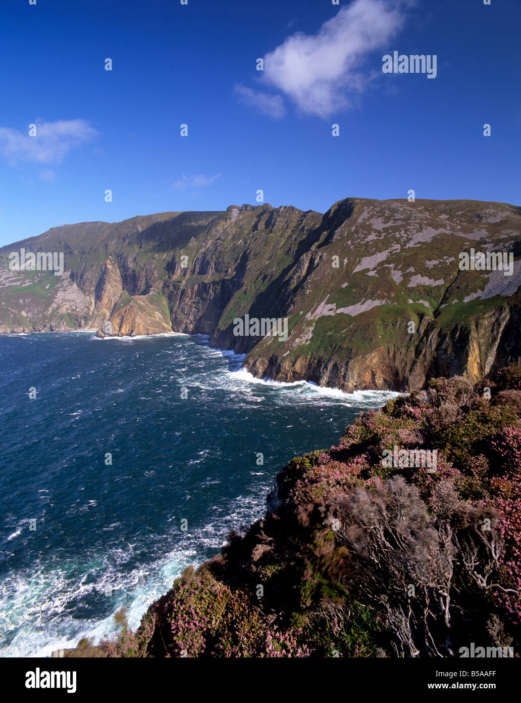 Slieve League, highest cliffs in Europe, Bunglass Point, County Donegal ...