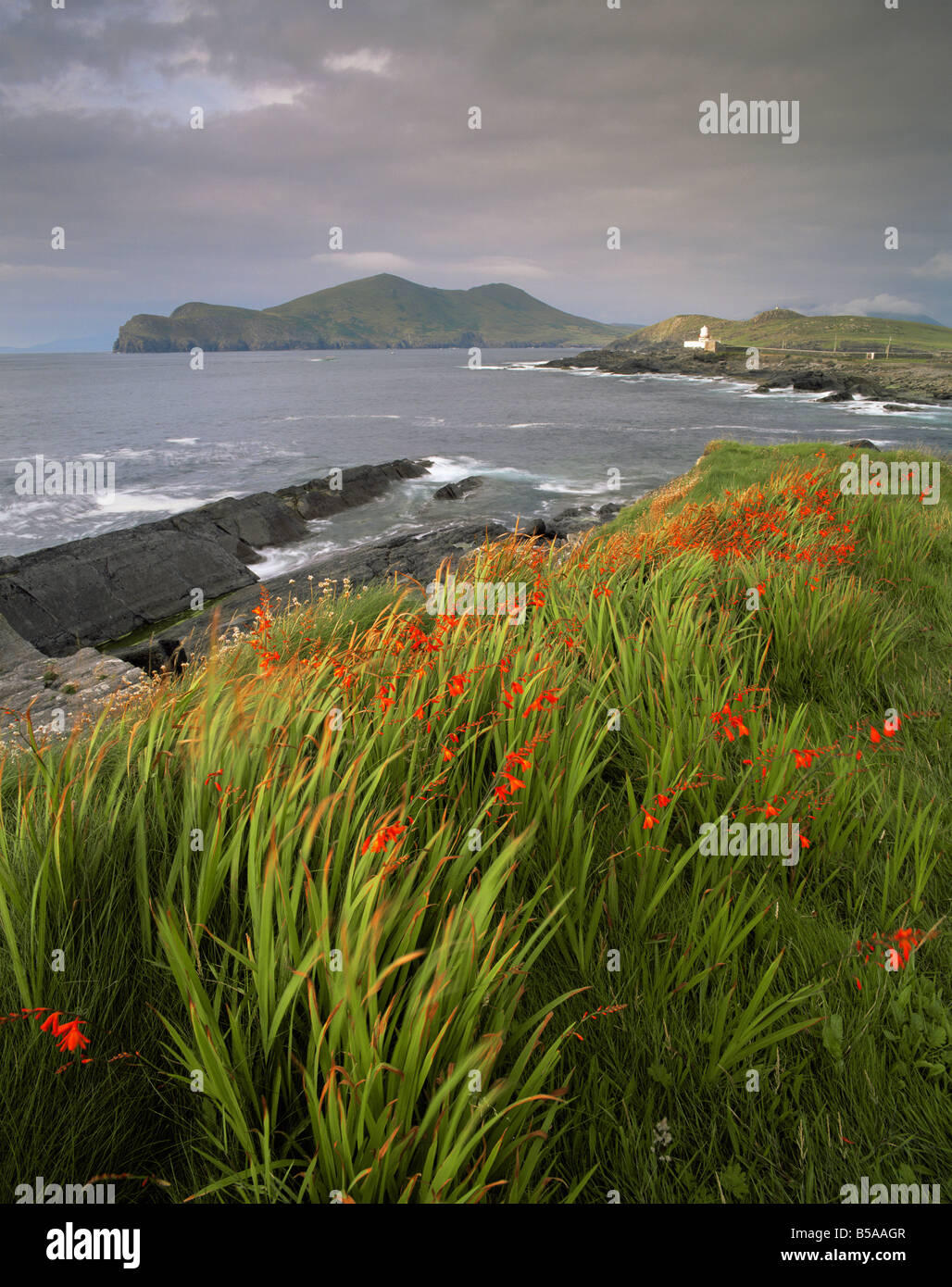 Valencia lighthouse kerry ireland hi-res stock photography and images ...