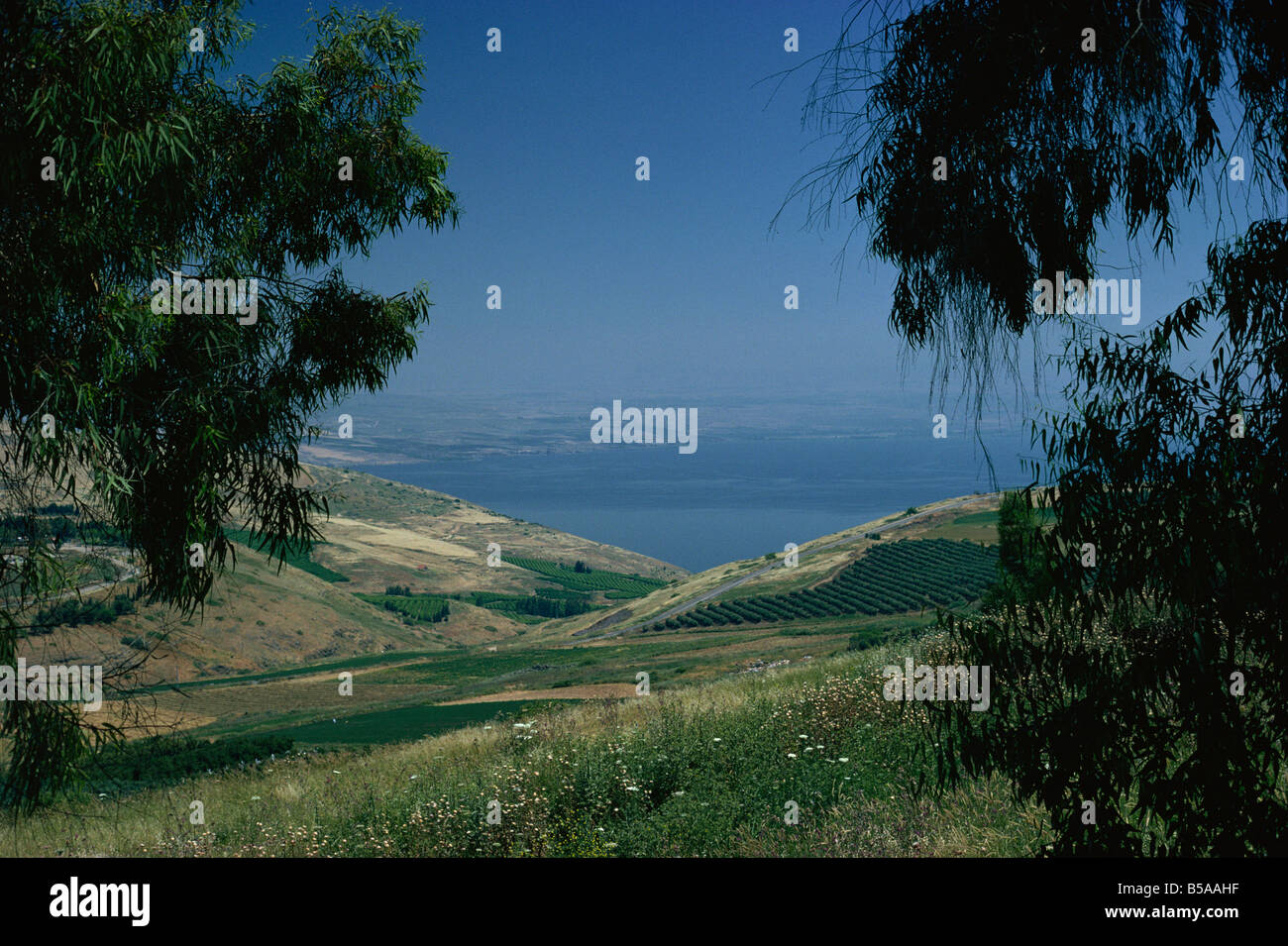 Including to israel hi-res stock photography and images - Alamy