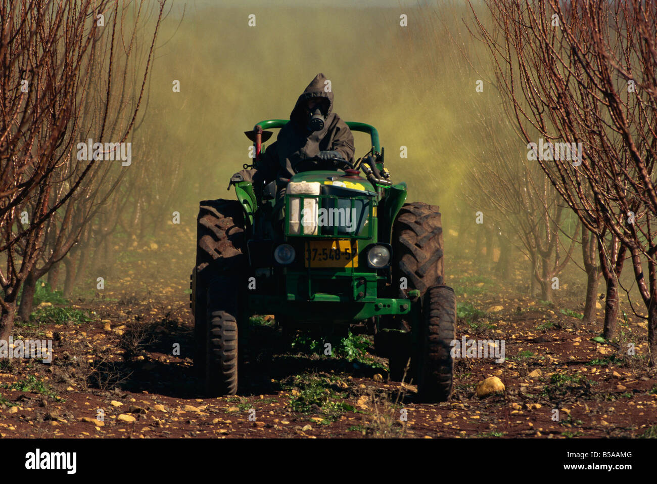 Man wearing protective clothing on a tractor spraying orchards in ...