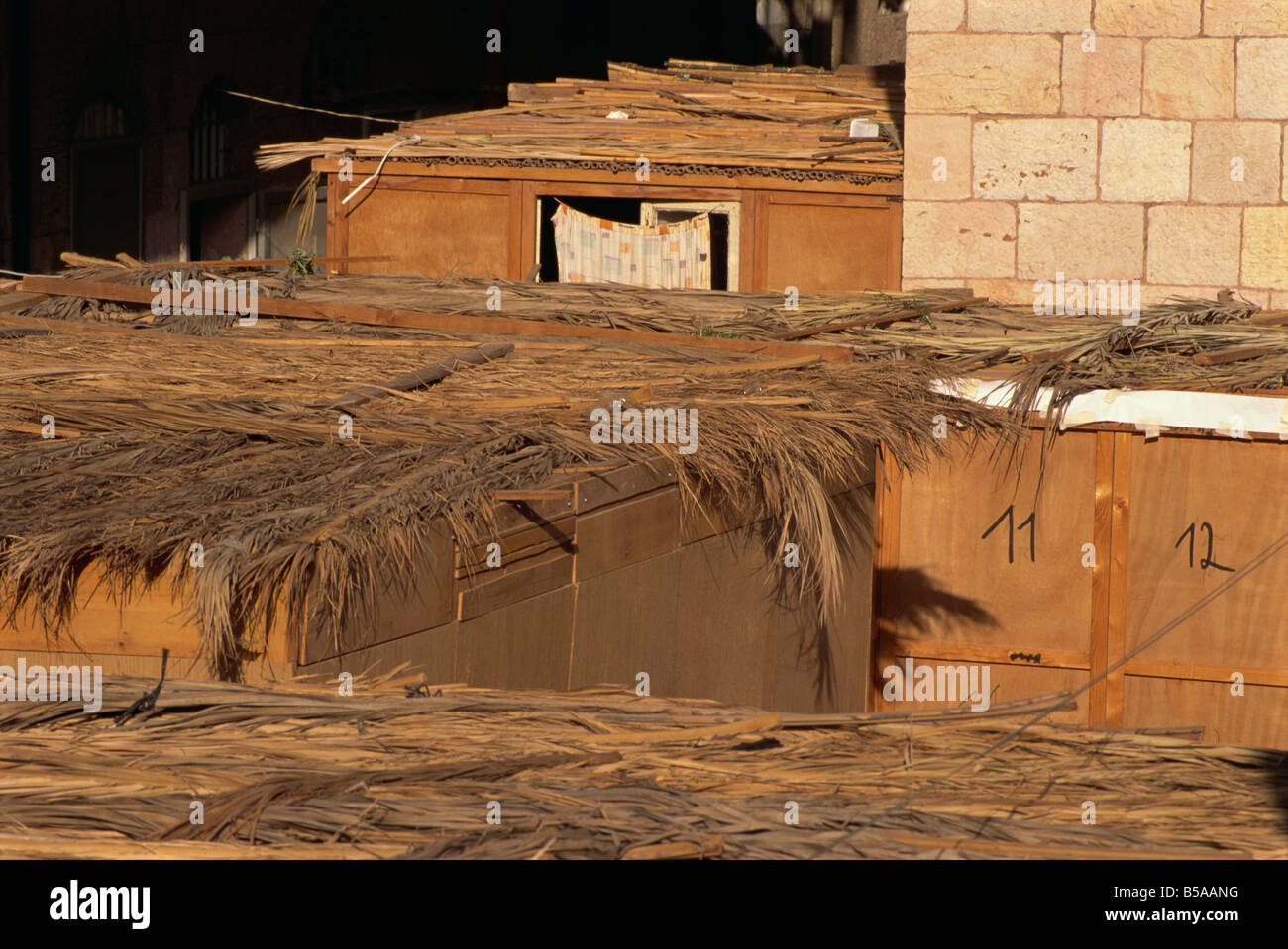 Close-up of succa, Succoth Festival, Israel, Middle East Stock Photo ...