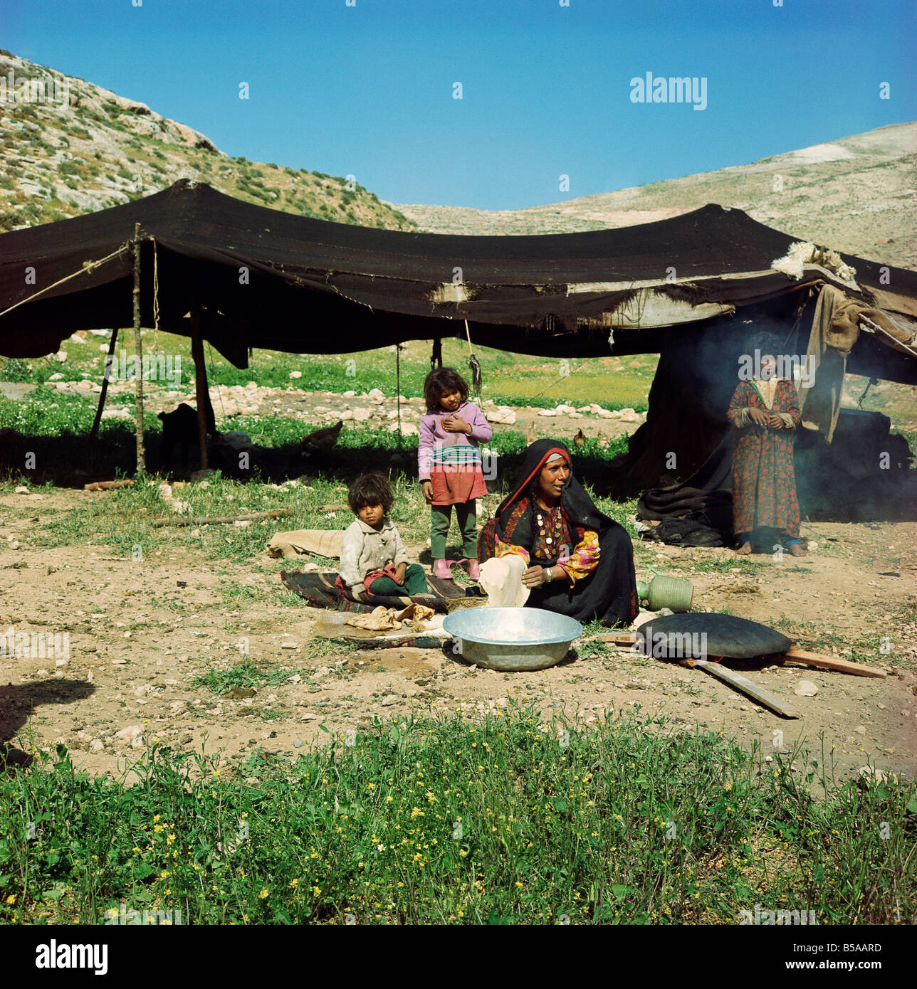 Nomads near Jericho Israel Middle East Stock Photo - Alamy