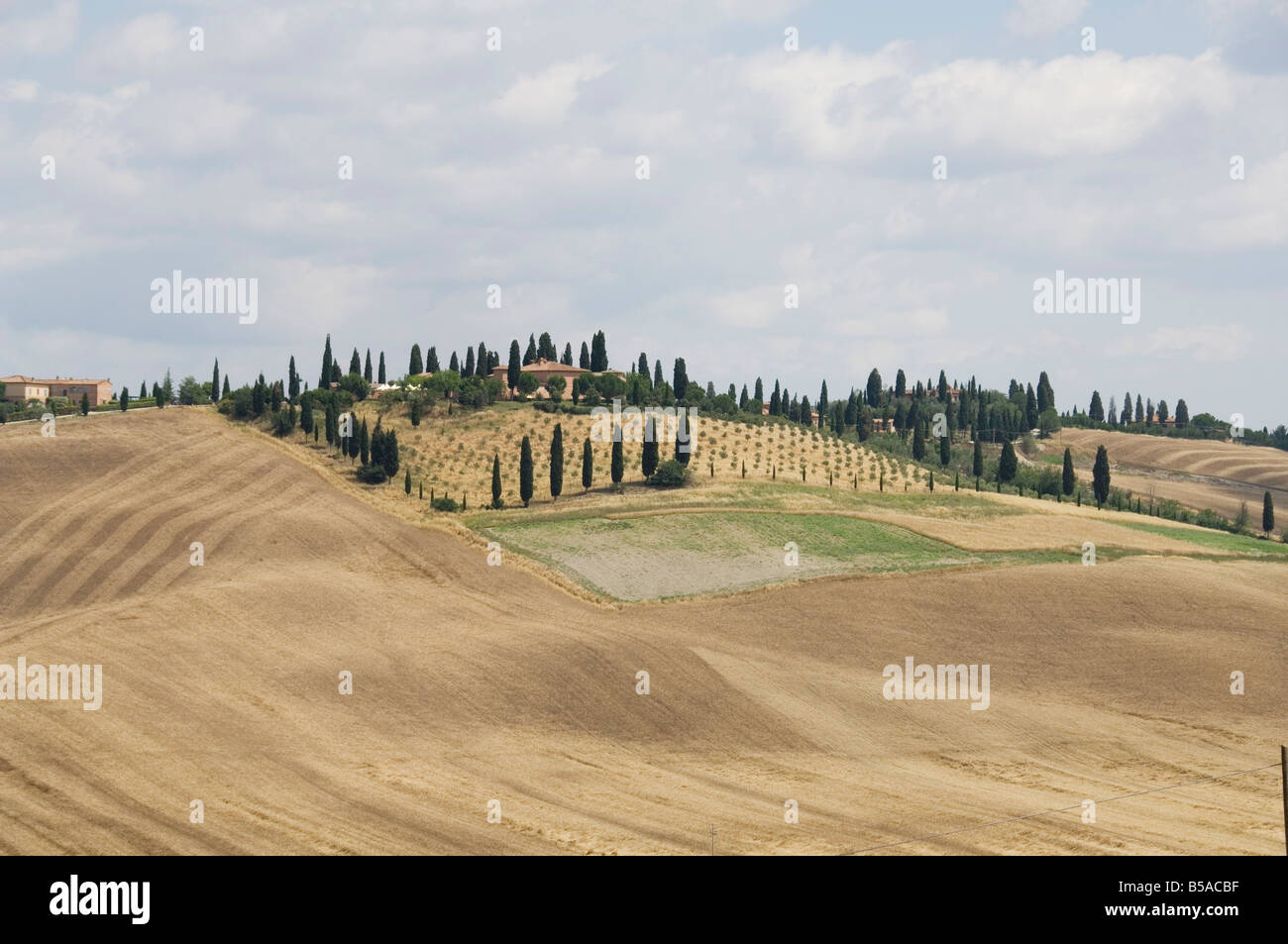 Typical view of the Tuscan landscape, Le Crete (The Crete), Tuscany ...
