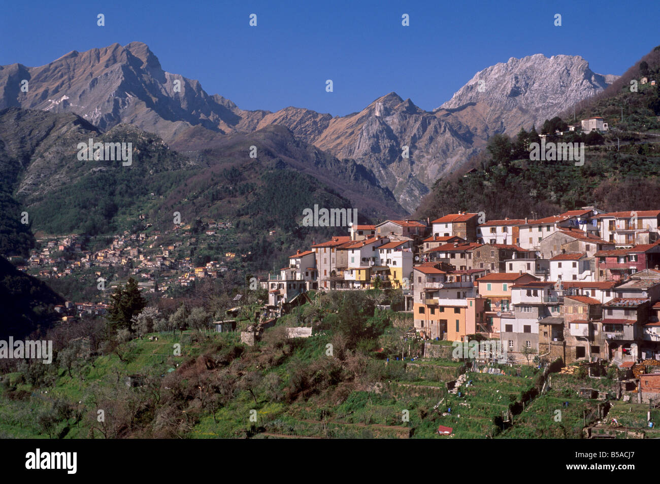 Parania hi-res stock photography and images - Alamy