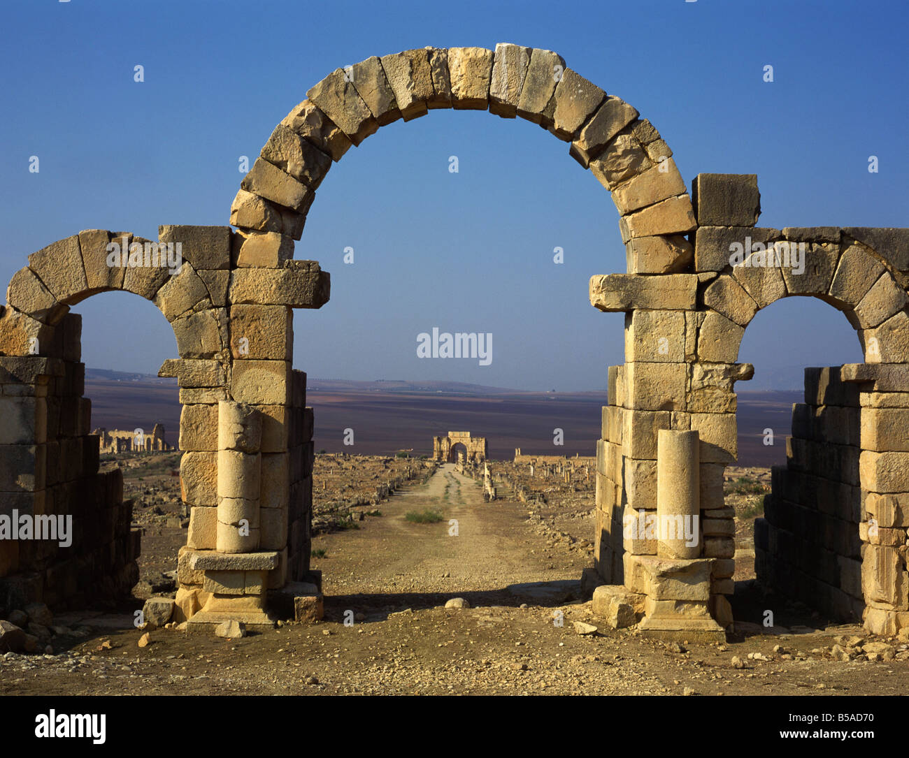 Volubilis site hi-res stock photography and images - Alamy