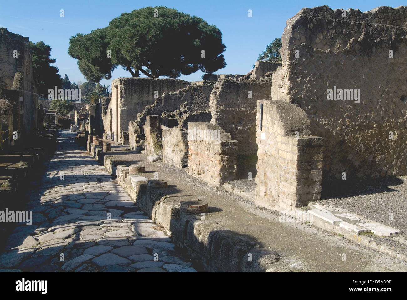 The ruins of Herculaneum, a large Roman town destroyed by a volcanic ...