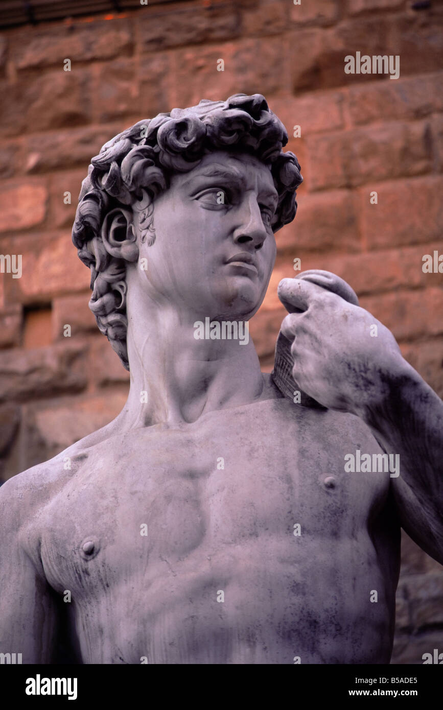 Michelangelo's David, Piazza della Signoria, Florence, Tuscany, Italy ...