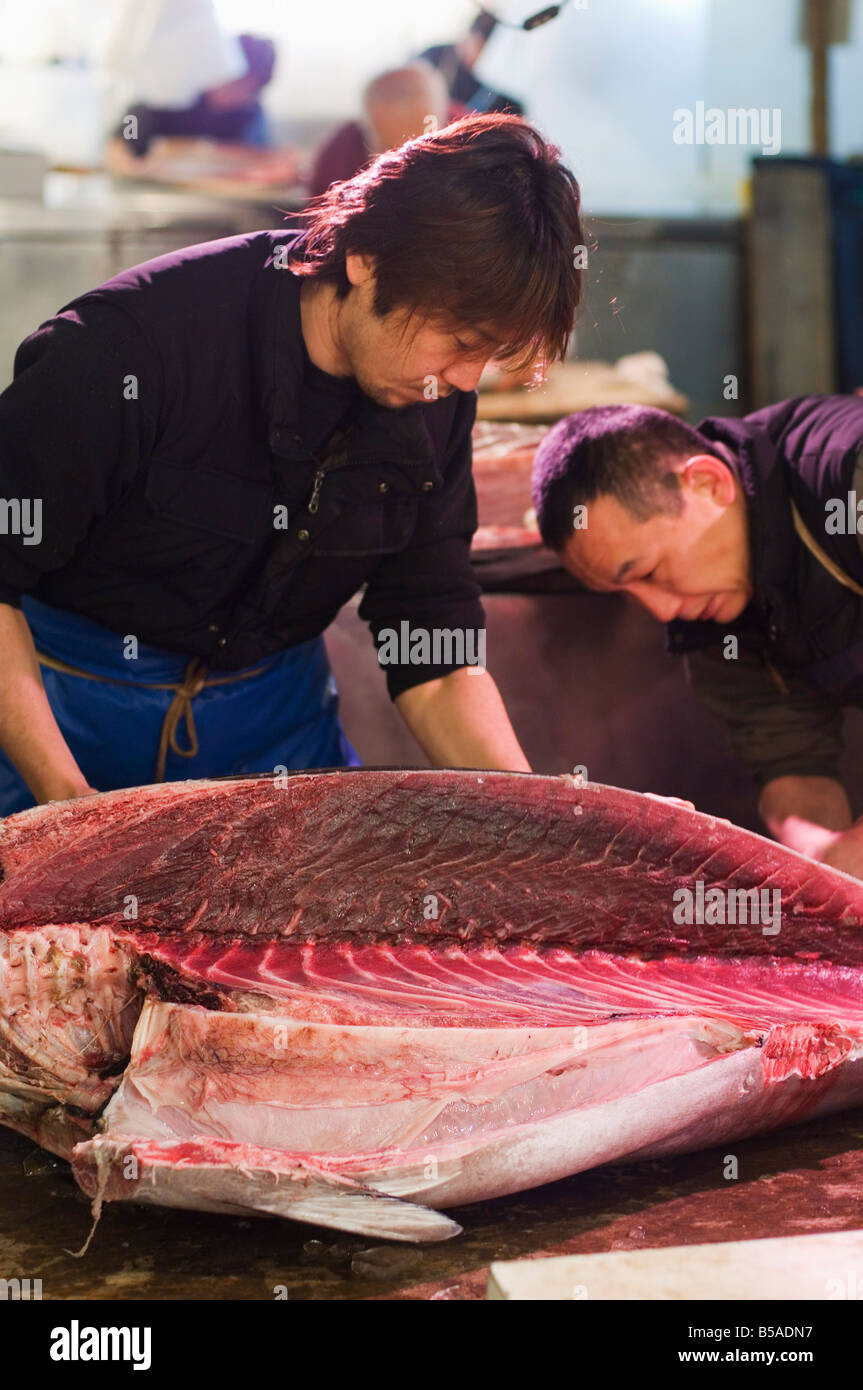 Slicing tuna at Tsukiji fish market, Tokyo, Honshu Island, Japan Stock ...
