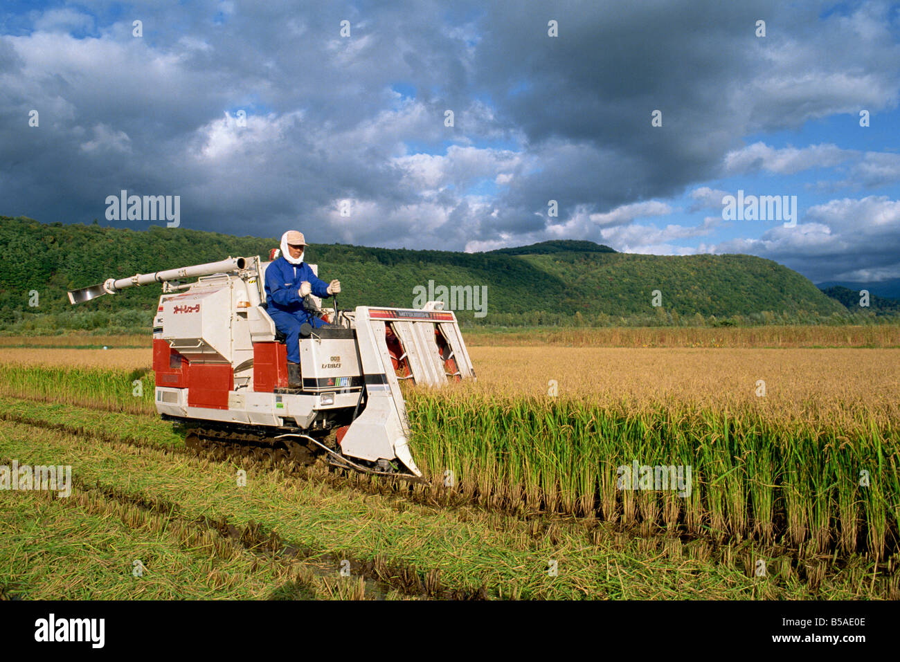 Rice farming japan hi-res stock photography and images - Alamy