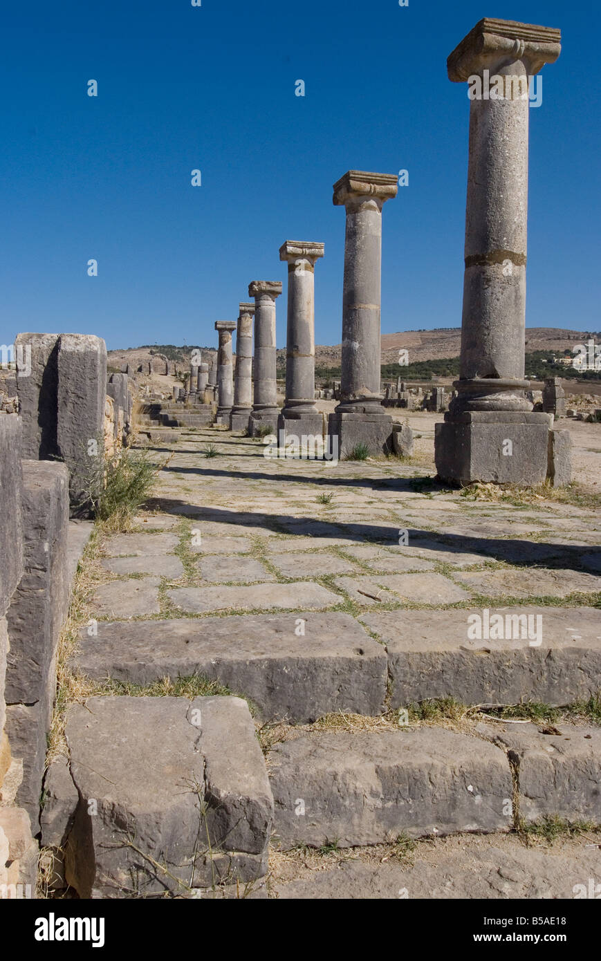 Decumanus Maximus main east west road Roman site of Volubilis UNESCO ...