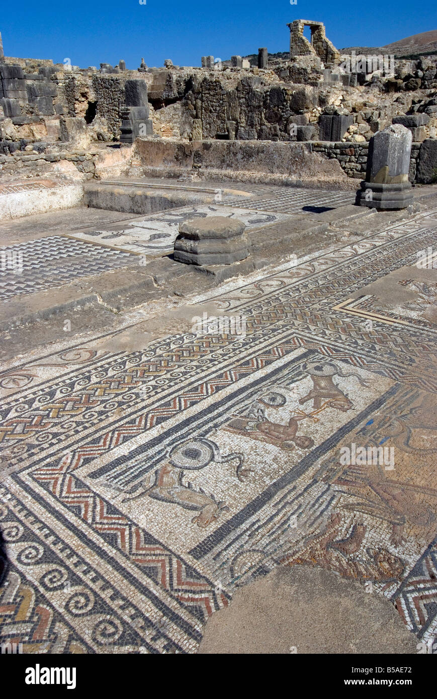 House of Orpheus, Roman site of Volubilis, UNESCO World Heritage Site ...
