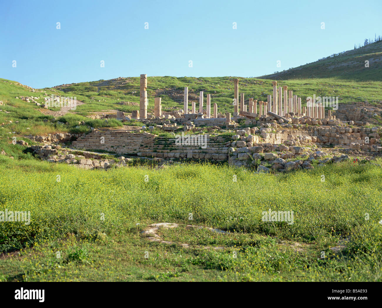 Columns of Byzantine Civic Centre Church from around 400 AD, built over ...