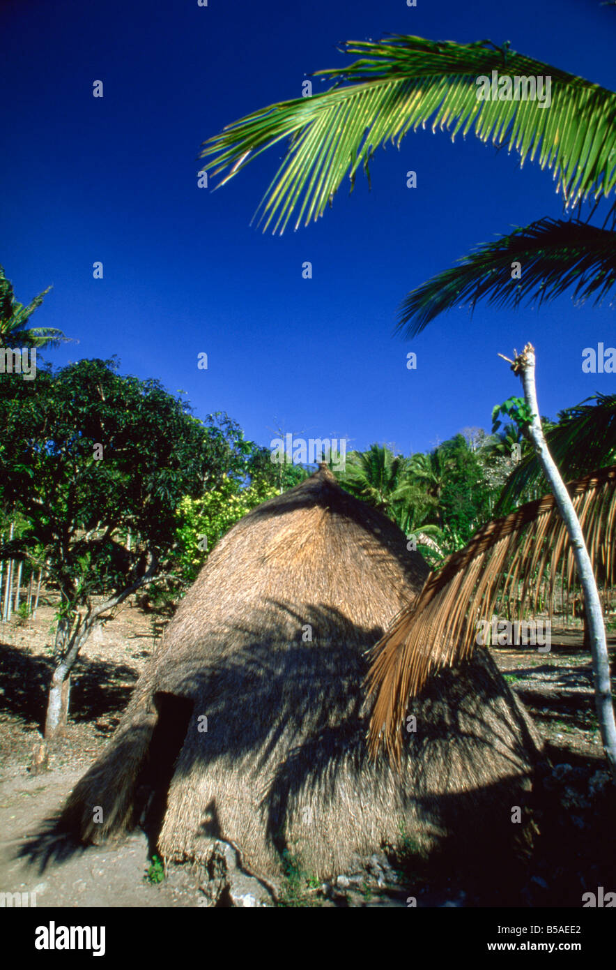 Traditional conical hut in town of Soe, western Timor, Southeast Asia ...