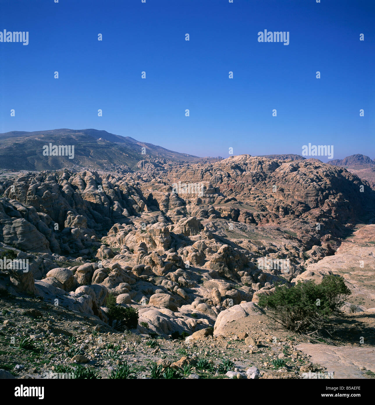 The Jabal al Khubtha Massif which hides Petra from Wadi Musa town ...