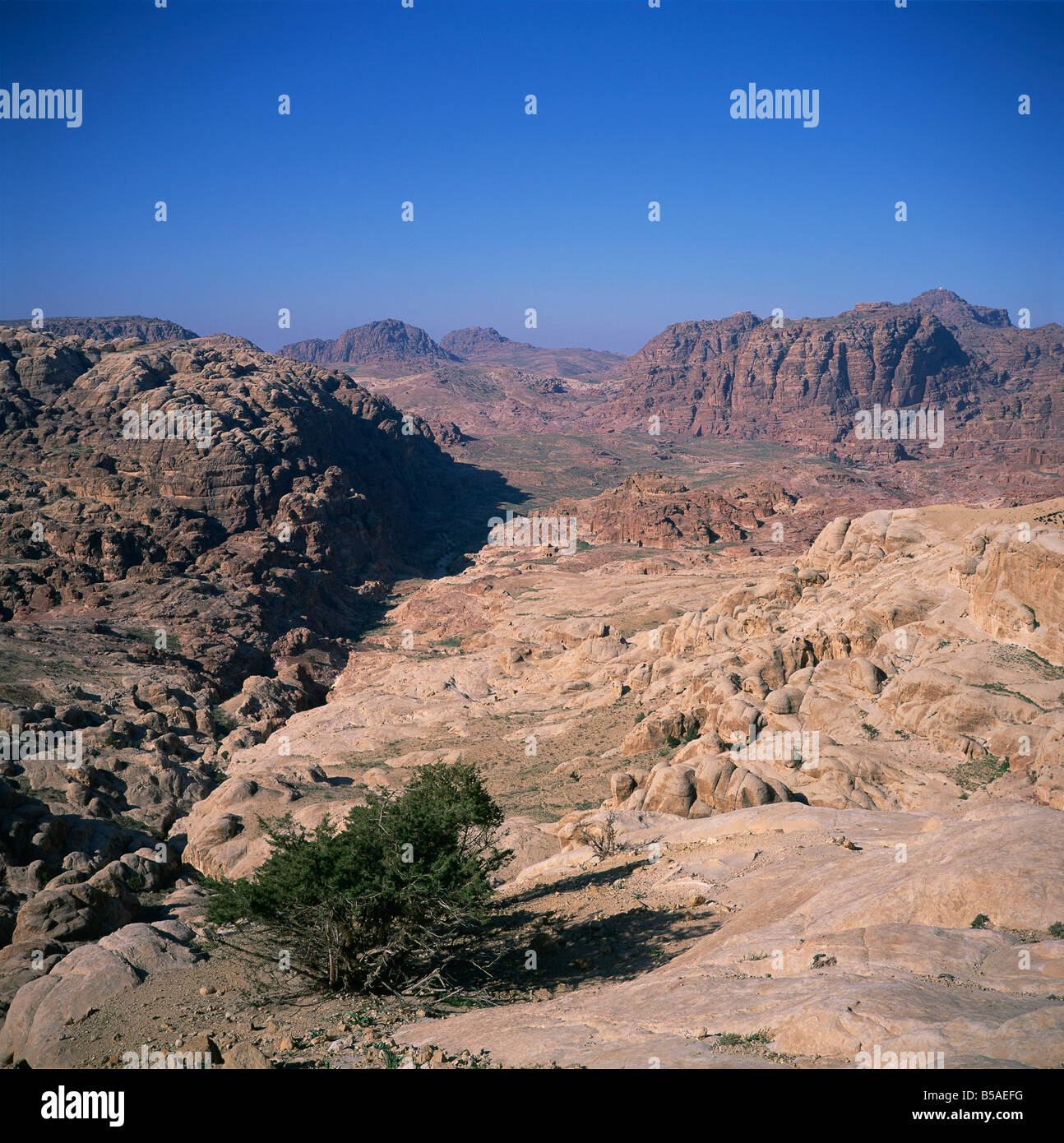 Edomite hi-res stock photography and images - Alamy