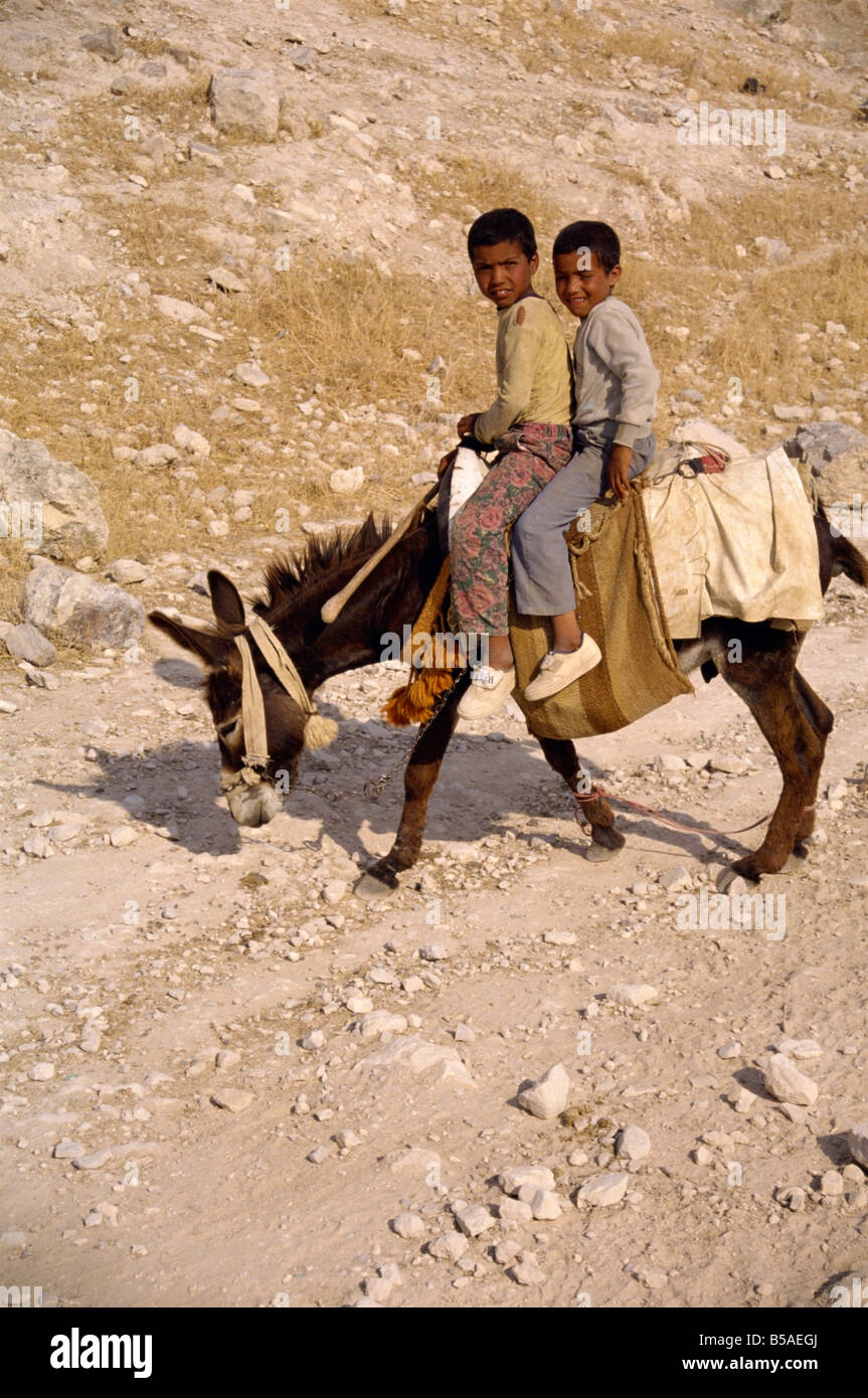 Two boys riding a donkey Pella Jordan Middle East Stock Photo - Alamy