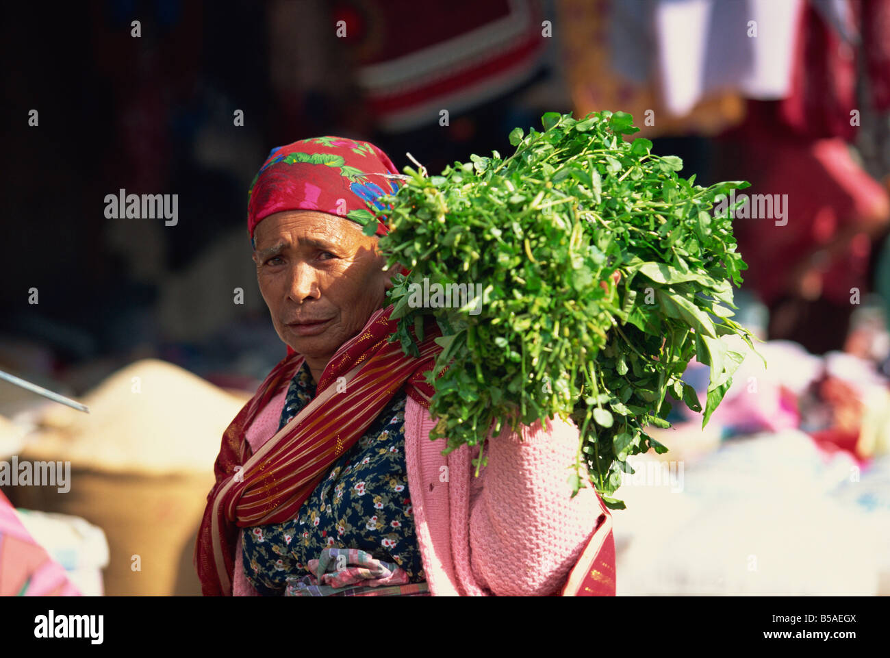 Karo Batak woman at market in Berastagi, Karo Highlands, Sumatra ...