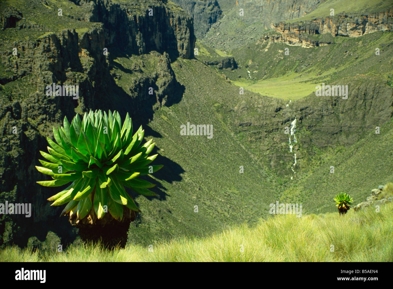 Chogoria Valley, Mount Kenya, Kenya, East Africa, Africa Stock Photo ...