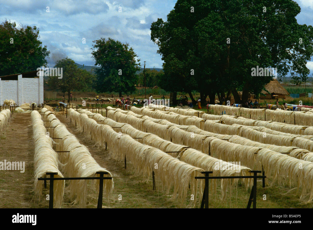 Sisal factory hi-res stock photography and images - Alamy
