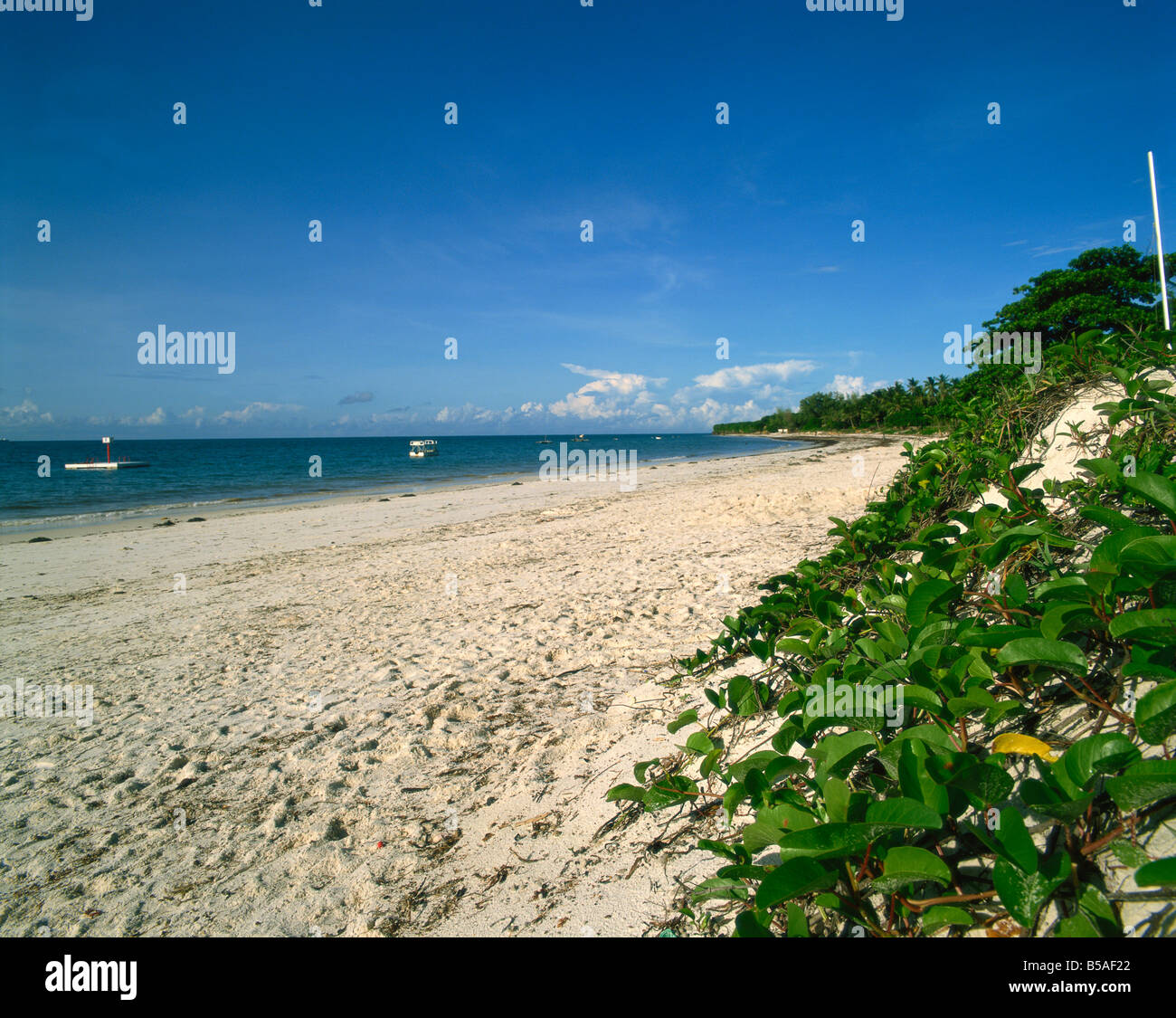 Nyali beach hi-res stock photography and images - Alamy
