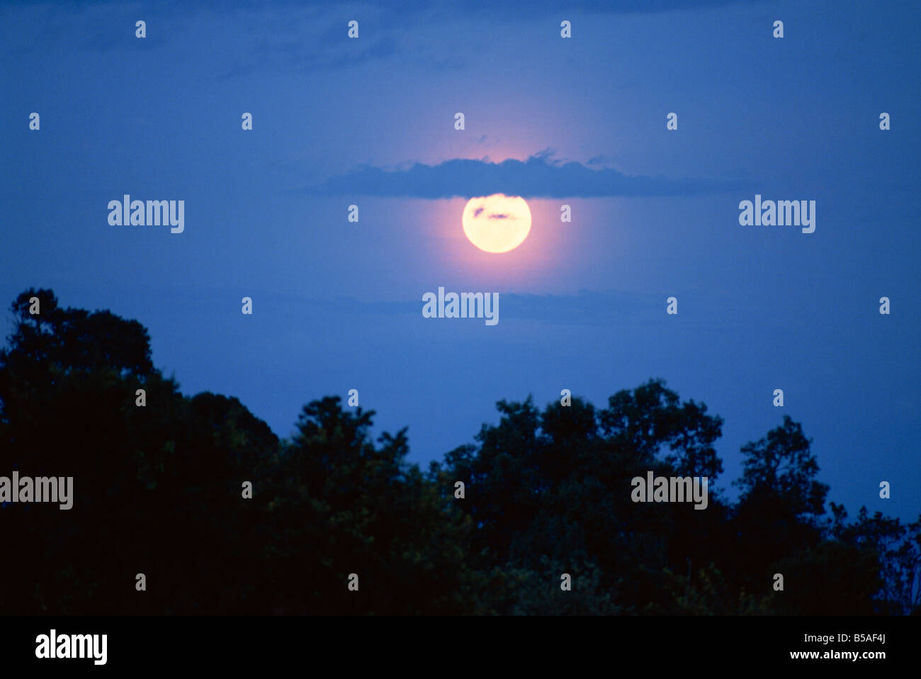 Moon Kenya East Africa Africa Stock Photo - Alamy