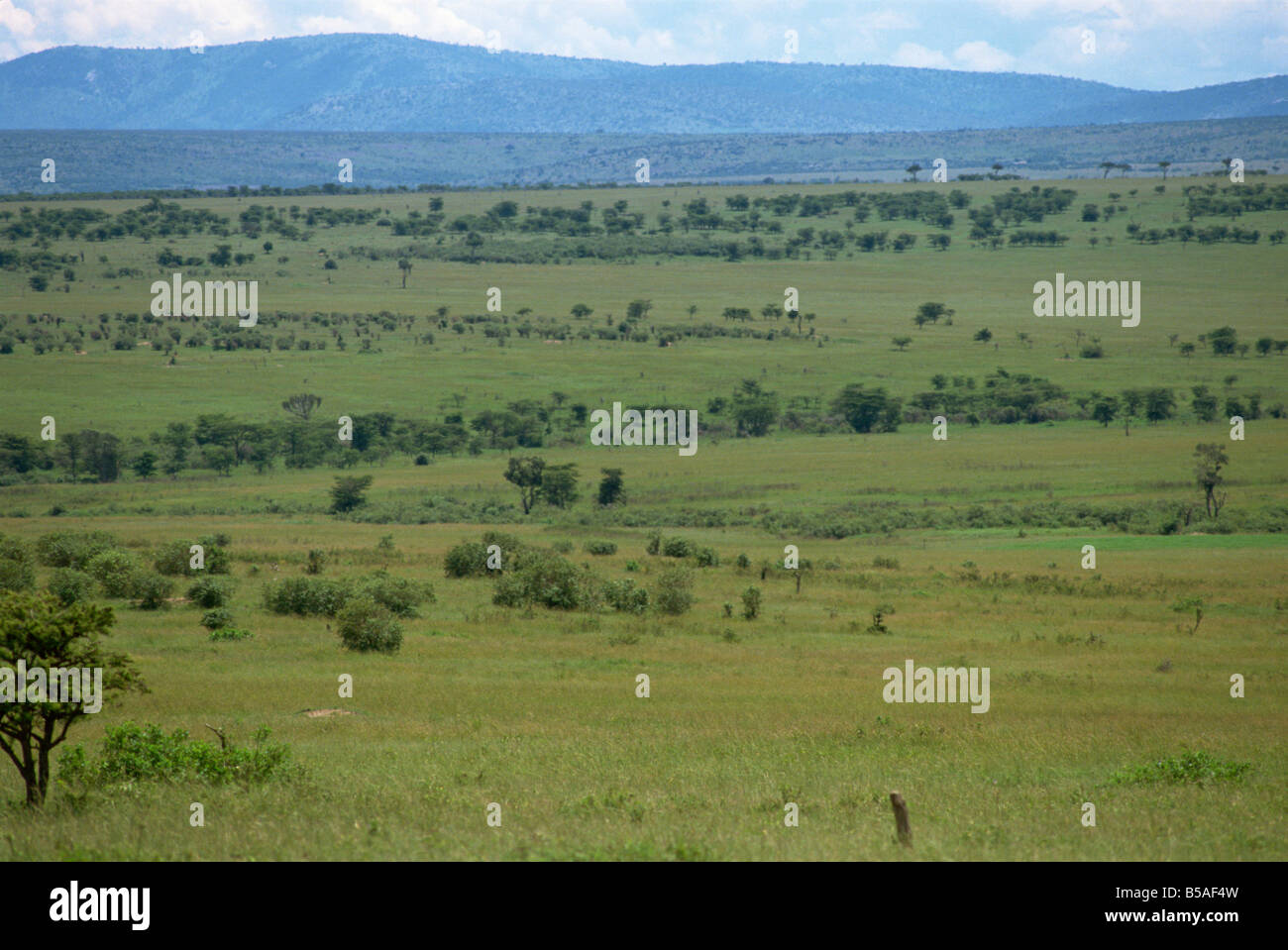 View across Masai Mara landscape Kenya East Africa Africa Stock Photo ...