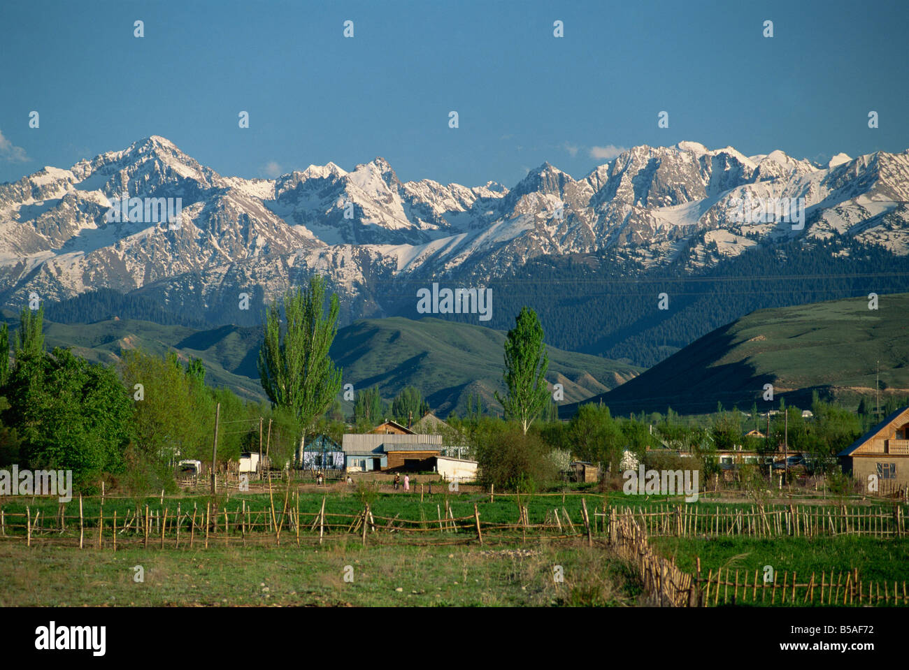 Farm near Lake Issyk Kul in the Tien Shan mountain range Tersey Alatoo ...