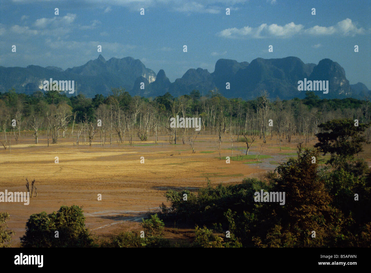 Encroaching forest in limestone basin, Phontiou tin mine, plain of mine ...