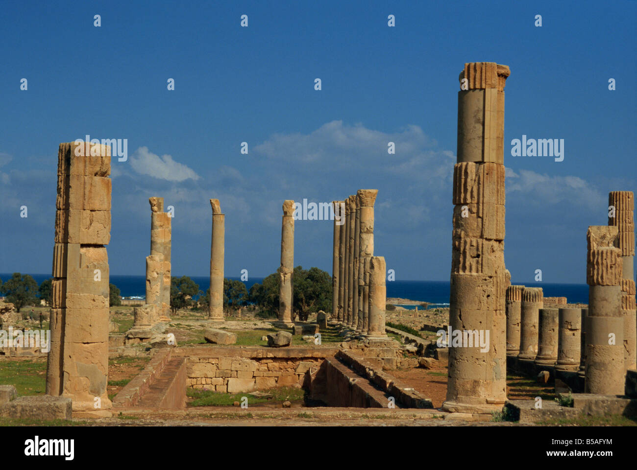 Tolmeita hi-res stock photography and images - Alamy
