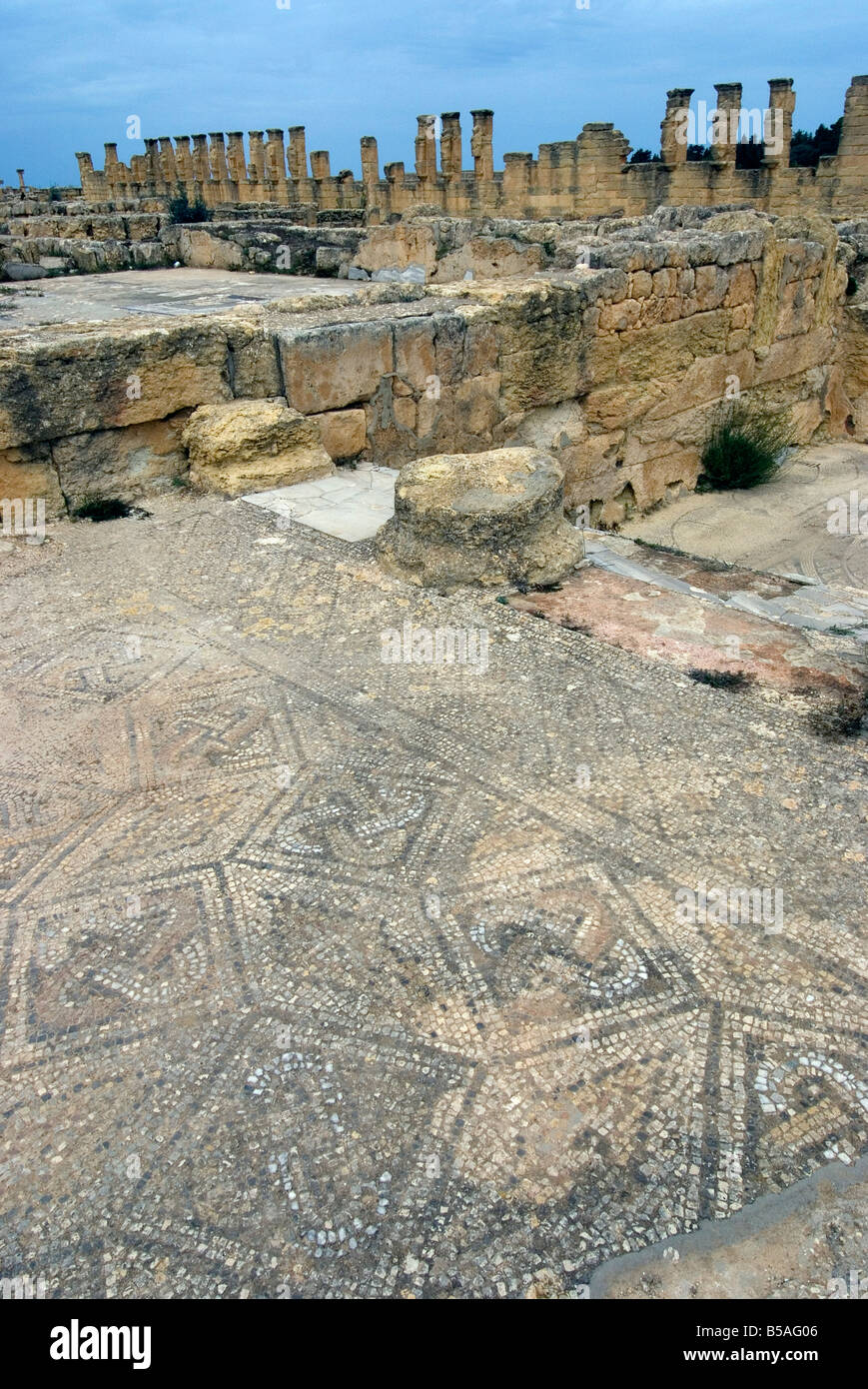 House of Jason Magnus, Greek and Roman site of Cyrene, UNESCO World ...