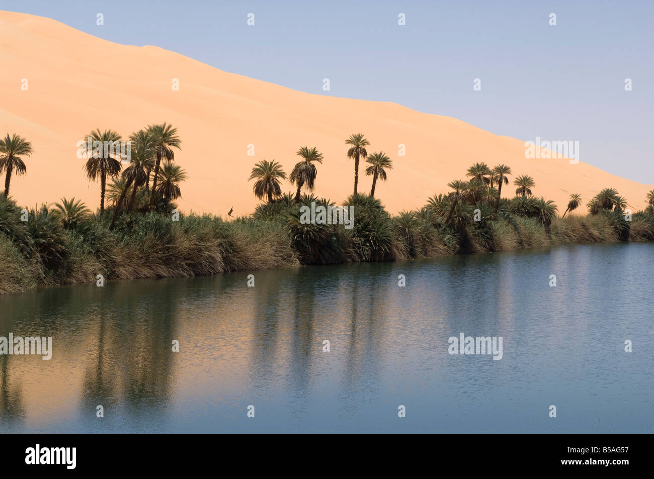 Umm El Ma lake, Erg Awbari, Sahara desert, Fezzan, Libya, North Africa ...