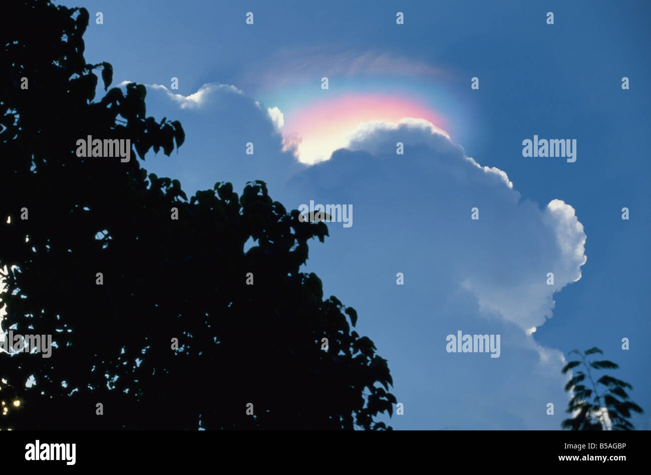Rainbow atmospheric effect above cloud above the Ijen Plateau, Java ...