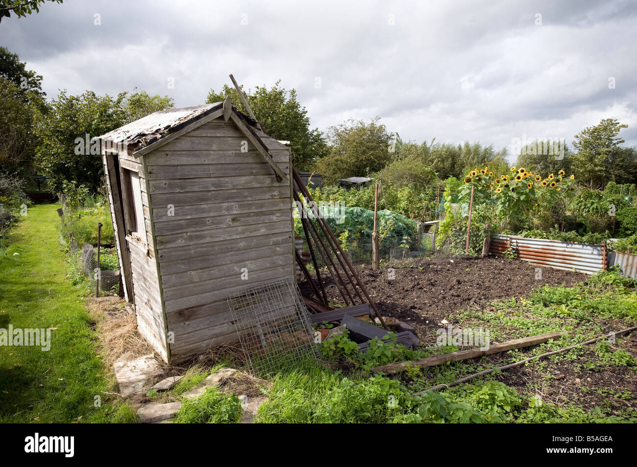 Shed falling down hi-res stock photography and images - Alamy